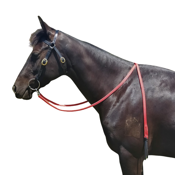 Nungar Knots Split 2m Reins Assorted Colours - Hiscocks