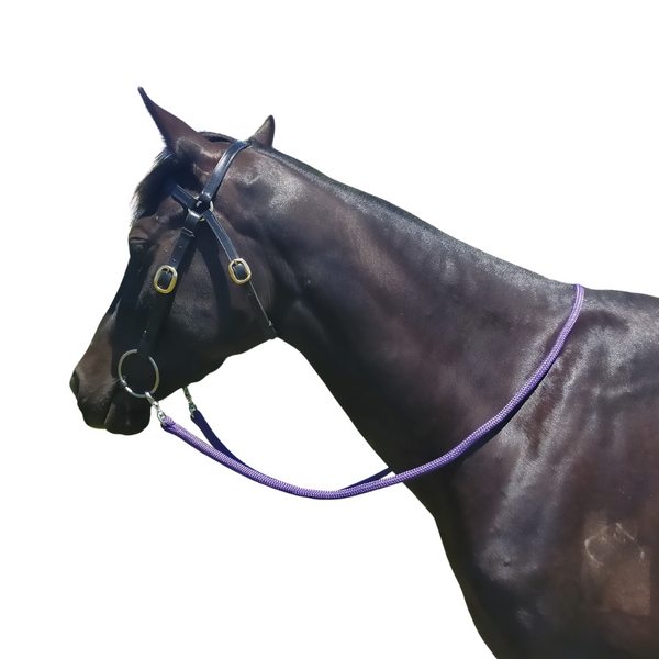 Nungar Knots 3m Reins | Stainless Steel Clips | Assorted Colours - Hiscocks